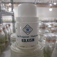Jual Kolkisin Murah - Harga Terbaru 2020