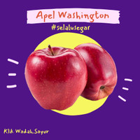 Jual Apel Washington Murah - Harga Terbaru 2020