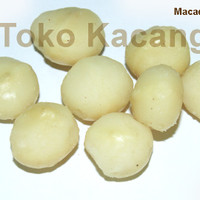 Jual Kacang Macadamia Murah - Harga Terbaru 2020