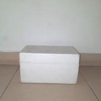 Jual Box Styrofoam Kecil Murah - Harga Terbaru 2020