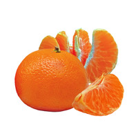 Jual Jeruk Mandarin Murah - Harga Terbaru 2020