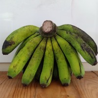 Jual Pisang Ambon Lumut Murah - Harga Terbaru 2020