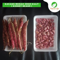 Jual Kacang Merah 1 Kg Murah - Harga Terbaru 2020